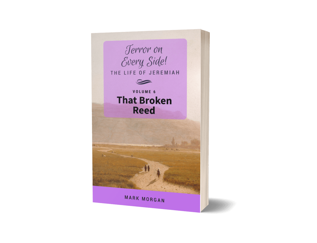 Terror on Every Side! Volume 6 – That Broken Reed - Bible Tales Online